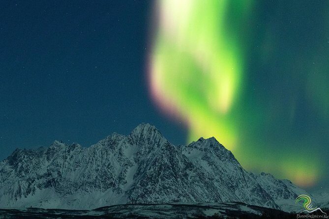Small-Group Northern Lights Tour from Tromso with Photos - An In-Depth Look at the Tour