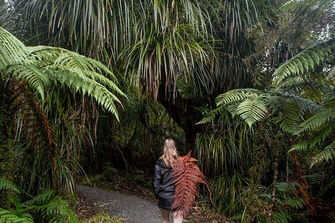 Small Group Northern Voyager 7 Days Tour - Possible Drawbacks and Considerations