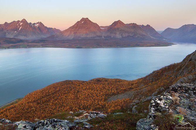 Small-Group Norwegian Fjords Tour from Tromso with Photos - Introduction: A Cozy Arctic Fjord Adventure