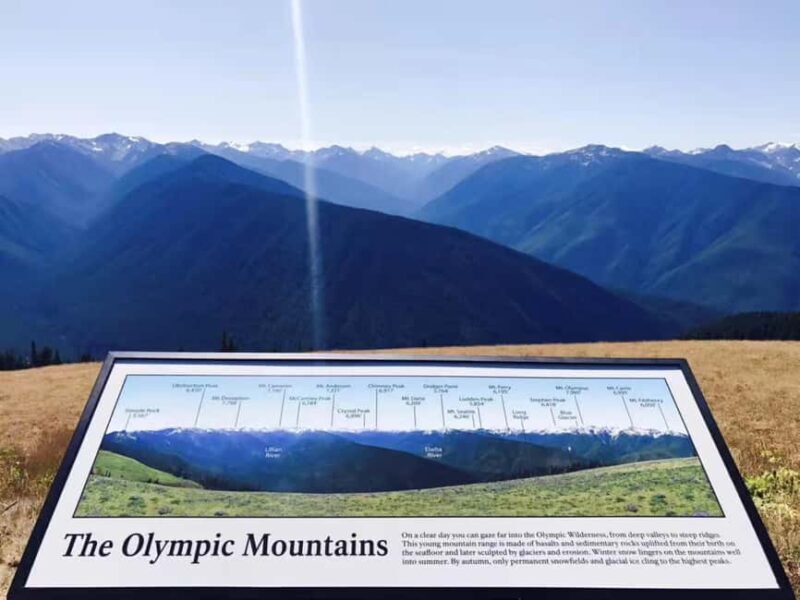 Small Group: Olympic National Park Day Tour From Seattle - What Sets This Tour Apart?