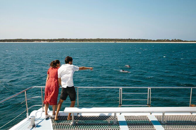 Small Group Port Stephens + Dolphins + 4WD/sandboarding ex Sydney - Introduction