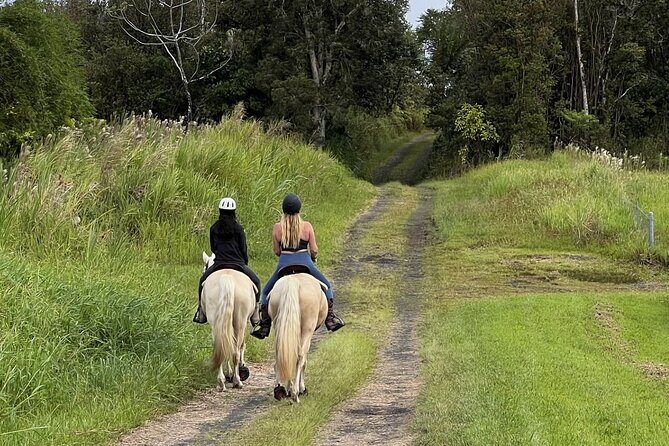 Small Group Rainforest Trail Ride - Small Group Rainforest Trail Ride Review