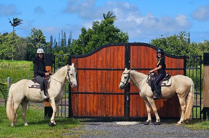 Small Group Rainforest Trail Ride - Authentic Insights from Past Travelers