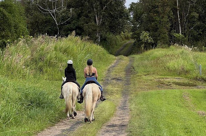 Small Group Rainforest Trail Ride - FAQ