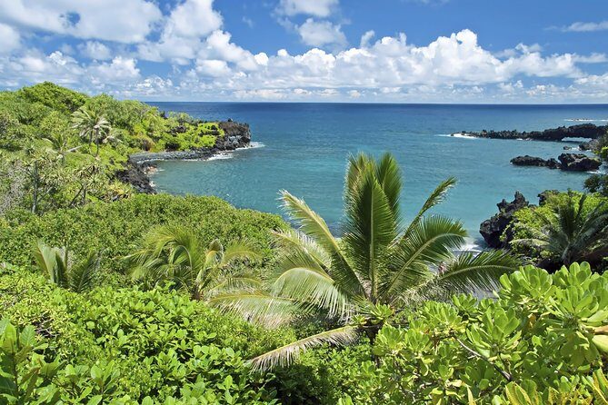 Small-Group Road to Hana Adventure Tour with Pickup & Lunch - The Experience: What Makes It Special