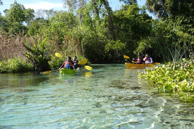Small Group Rock Springs Run Eco Kayak Adventure - What to Expect from the Experience