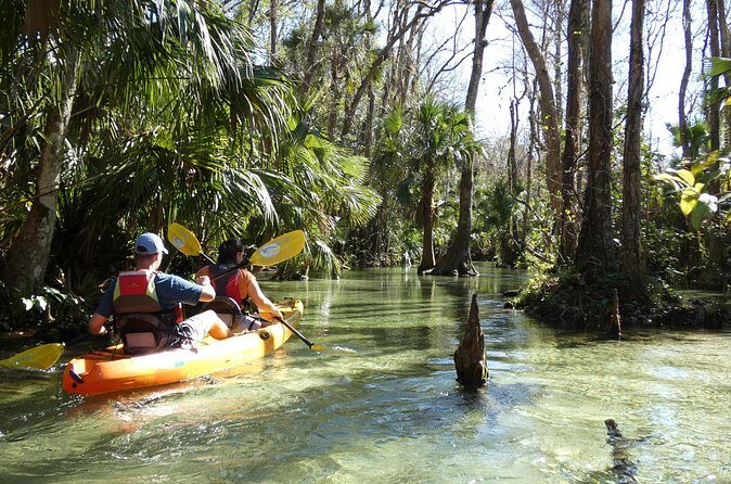 Small Group Rock Springs Run Eco Kayak Adventure - Accessibility & Practicalities