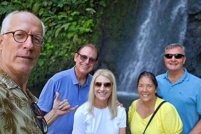 Small Group Shared Tahiti Circle Island Waterfalls and Views - What You’ll Get from the Experience
