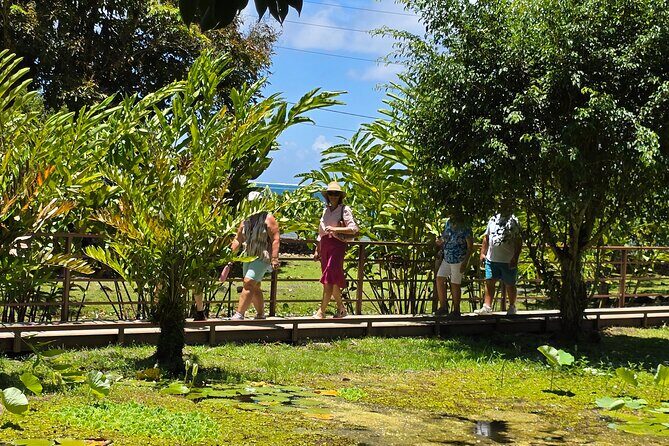 Small Group Shared Tahiti Circle Island Waterfalls and Views - Final Words