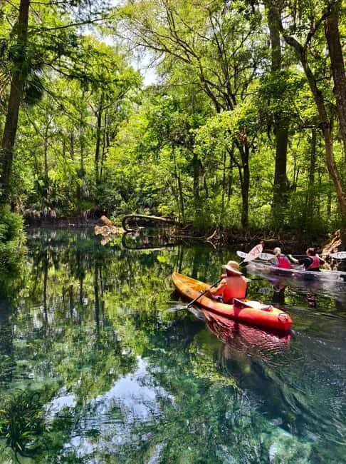 Small Group Silver Springs State Park Day Tour from Orlando - Key Points