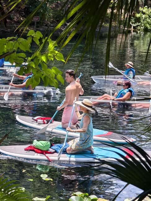 Small Group Silver Springs State Park Day Tour from Orlando - Exploring Silver Springs State Park: An Authentic Florida Escape