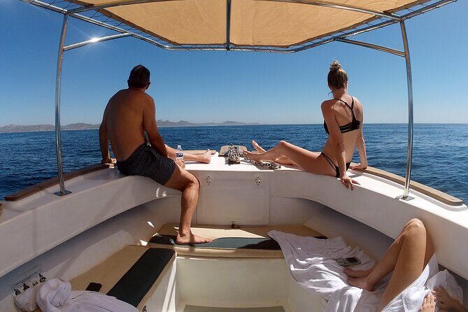 Small-Group Snorkel Adventure in San Jose del Cabo - The Sum Up: Who Is This Tour Perfect For?