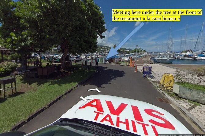 Small group snorkeling (5 people max): Turtles at 7:30am - Why Choose This Small-Group Snorkeling Tour?