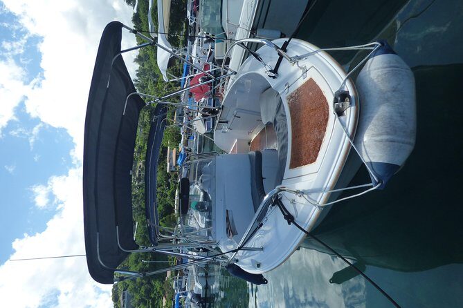 Small group snorkeling (5 people max): Turtles at 7:30am - Is It Worth the Price?