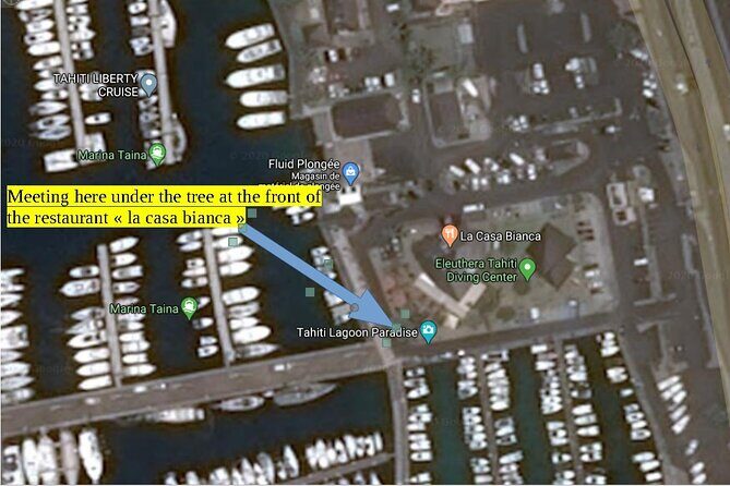 Small group snorkeling (5 people max): wrecks & tropical fishes at 3:30pm - An In-Depth Look at the Snorkeling Experience