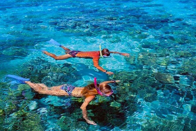 Small group snorkeling (5 people max): wrecks & tropical fishes at 3:30pm - Authentic Experiences and Genuine Reviews