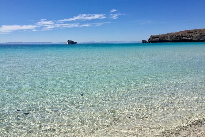 Small Group Snorkeling and Swim with Whale Sharks & Sea Lions in La Paz - The Sum Up