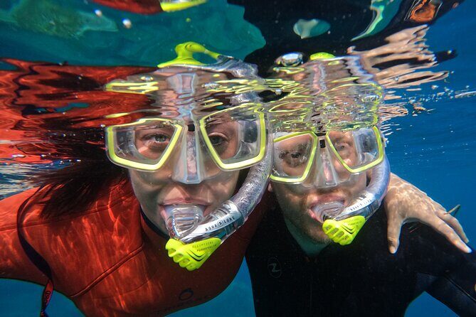 Small Group Snorkeling in Abades Bay with Licensed Guide - Frequently Asked Questions