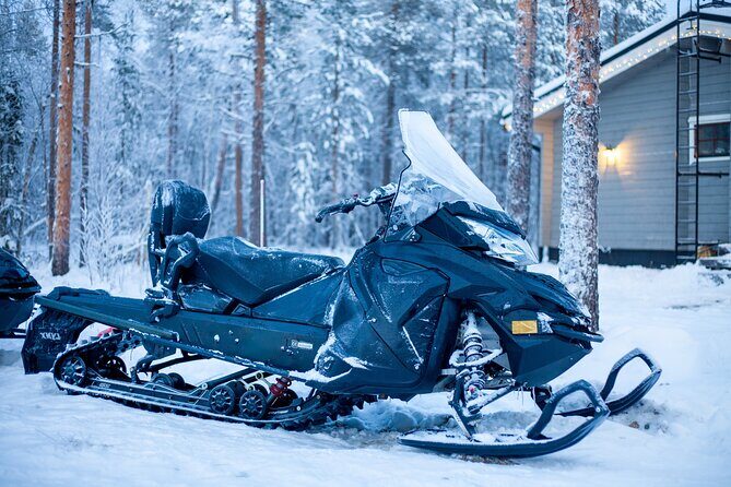 Small Group: Snowmobile Safari from Riverside Lodge 3h - The Experience Itself: What to Expect