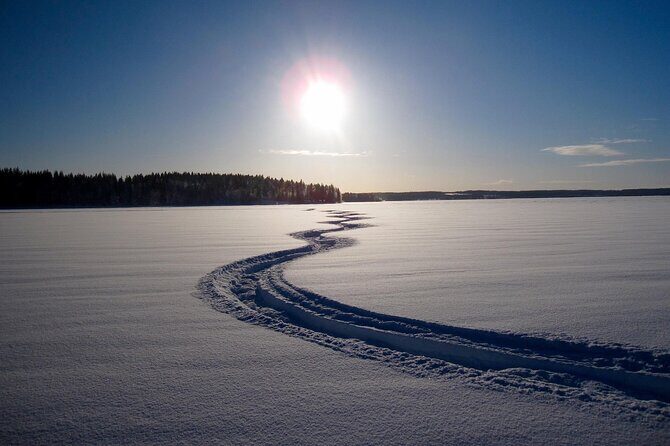 Small Group: Snowmobile Safari from Riverside Lodge 3h - The Sum Up