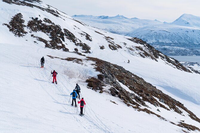 Small Group Snowshoe Hike in Tromso - Key Points