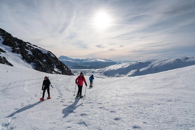 Small Group Snowshoe Hike in Tromso - Final Thoughts: Is This Tour Worth It?