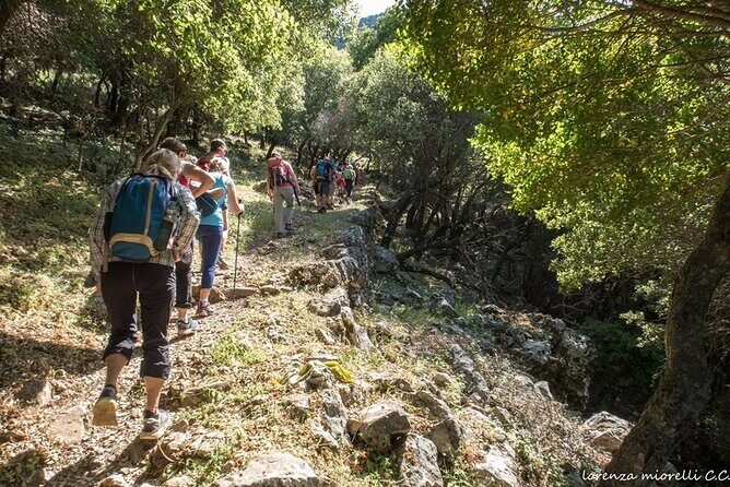 Small Group Sunset Hiking from Salakos to Profitis Ilias - Why This Tour Is a Great Fit