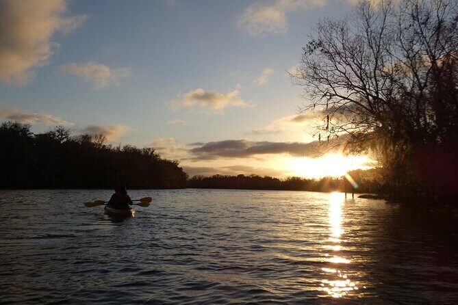 Small Group Sunset Paddle Among Manatees near Orlando - An In-Depth Look at the Sunset Paddle Experience
