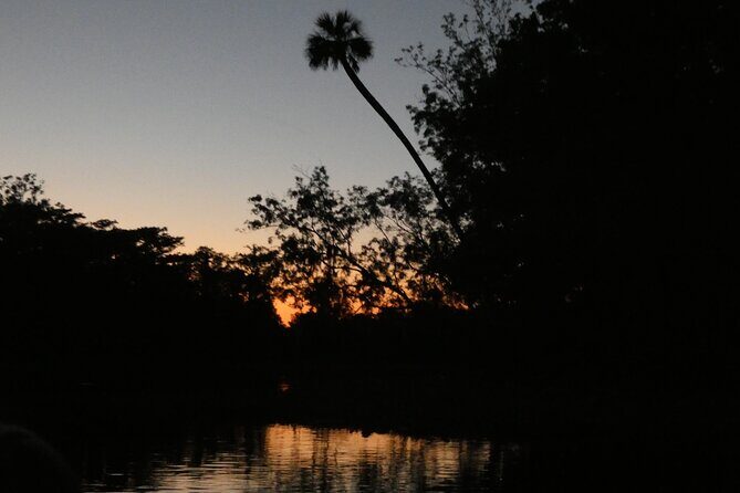 Small Group Sunset Paddle Among Manatees near Orlando - Pricing and Value