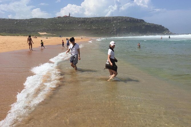 Small-Group Sydney's Northern Beaches & Ku-ring-gai Park Tour - Who Should Book This Tour?