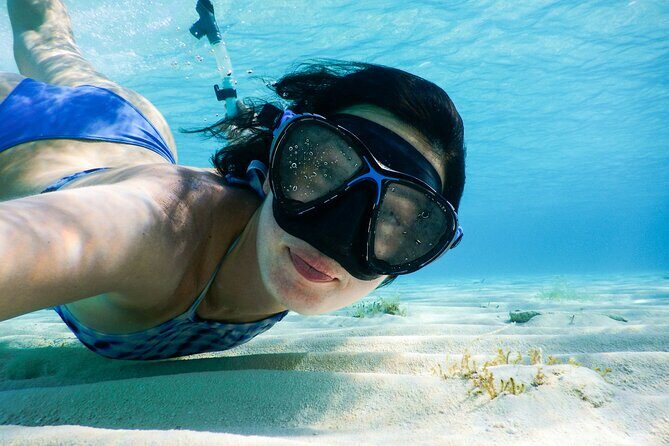 Small group tour by premium yacht to Elaphite Islands - Key Points
