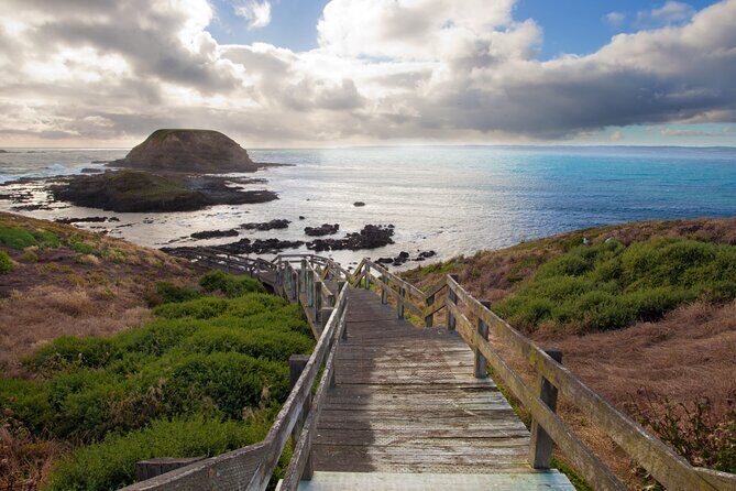 Small Group Tour of 2-7pax in Phillip Island & Churchill Island - In-Depth Look at the Itinerary