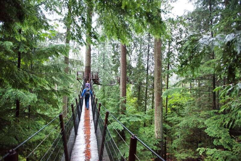 Small group tour of Capilano Bridge & Grouse Mountain - What’s Included and What’s Not