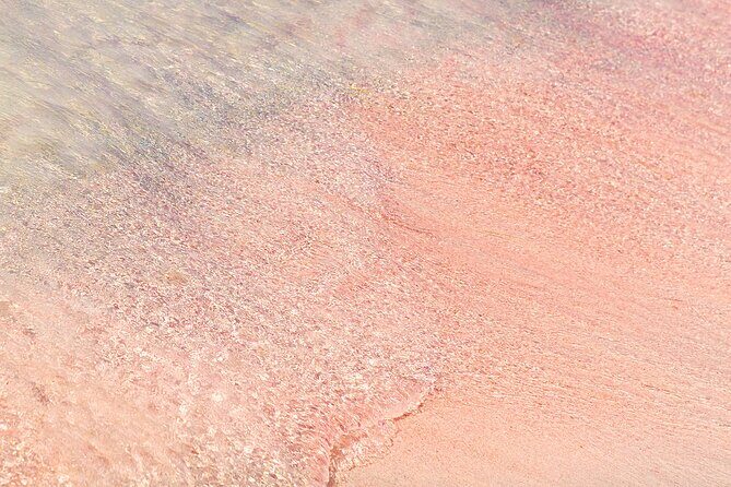 Small-Group Tour of Elafonissi Lagoon and the Old Town of Chania - Key Points  