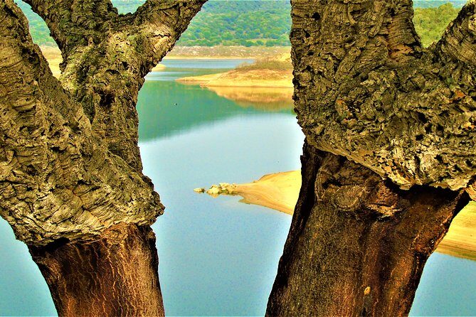 Small Group Tour - Tempio Pausania, Luras, The Gallura County- SARDINIA - ITALY - The Sum Up