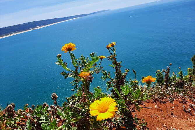 Small group tour to Nazaré and Obidos from Lisbon - In-Depth Look at the Itinerary
