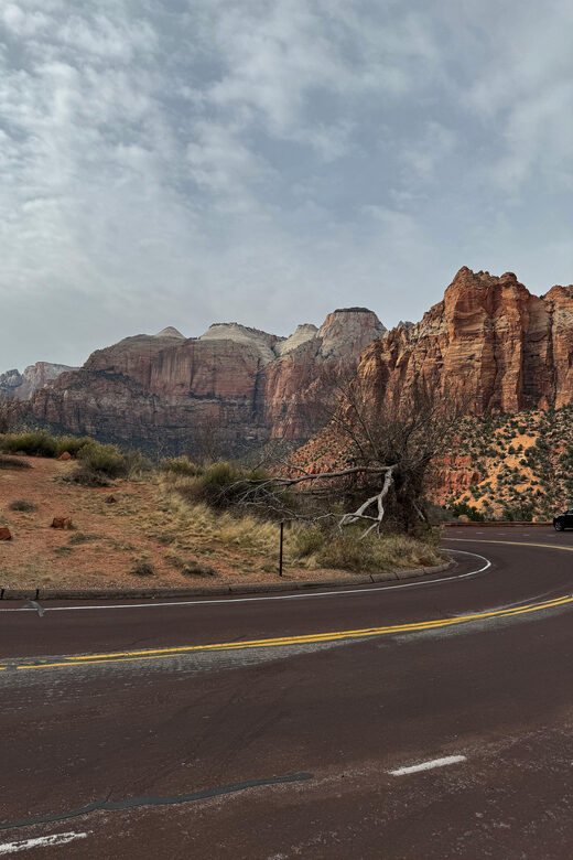 Small Group Tour Zion Bryce Canyon National from Las Vegas - Who Will Love This Tour?