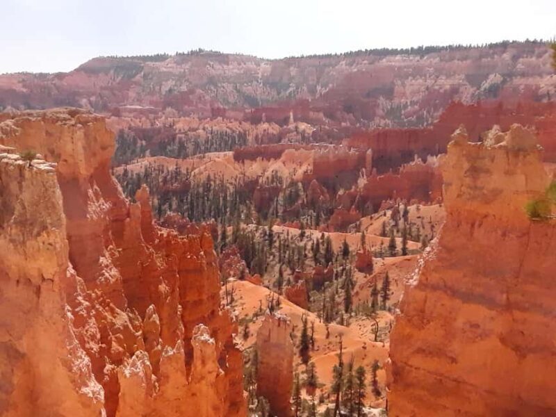 Small Group Tour Zion & Bryce Canyon National from Las Vegas - Key Points