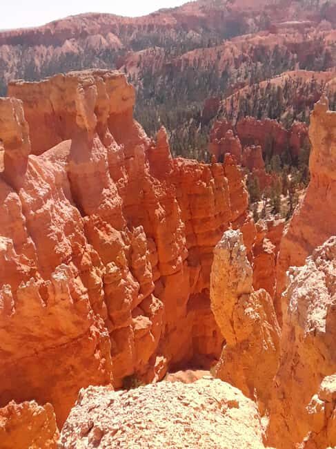 Small Group Tour Zion & Bryce Canyon National from Las Vegas - Who Should Consider This Tour?
