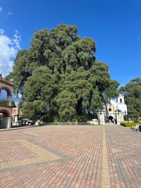 Small group tours: Hierve el Agua, Mezcal, Teotitlán, Mitla and Tule. - The Sum Up
