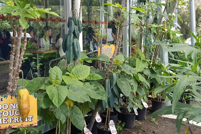 Small-Group Tractor Tour at Rayners Orchard from Melbourne - Final Thoughts: Who Will Love This Tour?