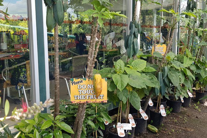 Small-Group Tractor Tour at Rayners Orchard from Melbourne - Frequently Asked Questions