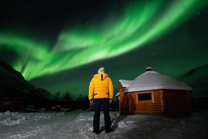 Small Group Tromsø: Northern Lights Chase with Photos and Dinner - The Review Highlights: What Travelers Say