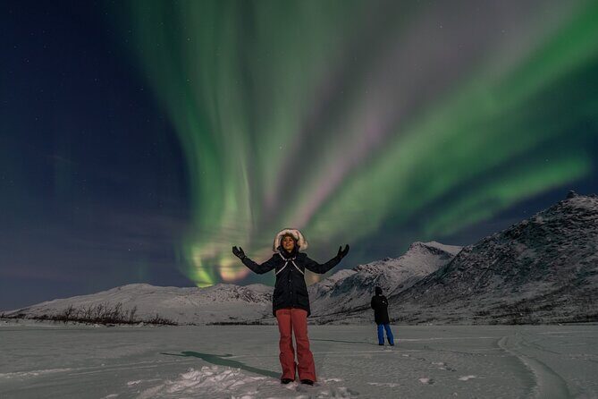Small Group Tromsø: Northern Lights Chase with Photos and Dinner - Who Should Book This Tour?