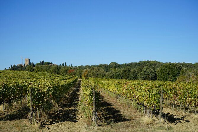 Small Group Tuscany Tour Montepulciano, Montalcino and Cortona - The Itinerary Breakdown