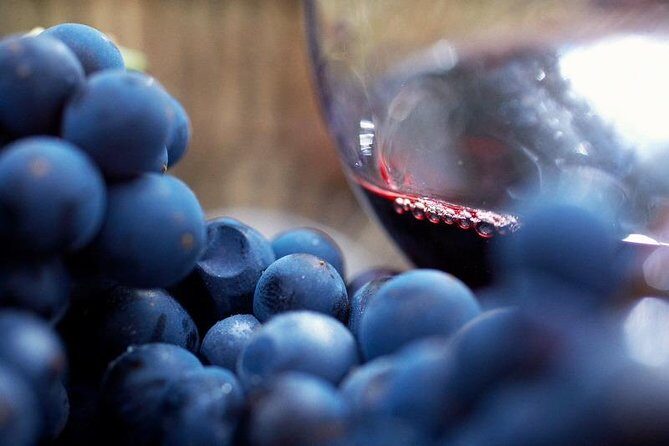 Small Group: Ultimate Mornington Peninsula Food and Wine Day - Key Points