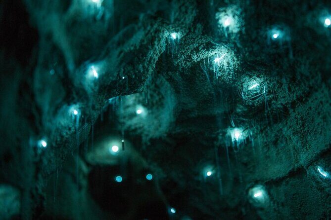 Small Group Waitomo and Rotorua including Te Puia Tour - FAQ