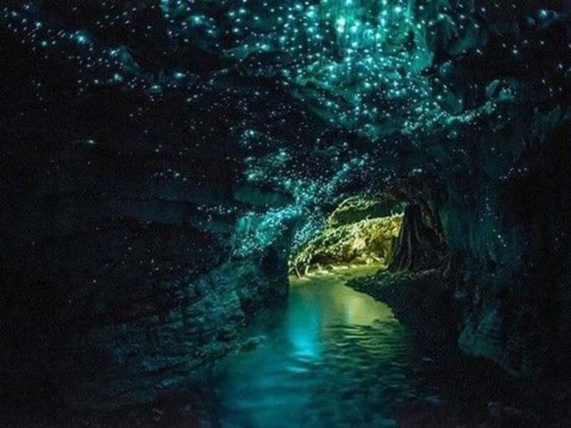 Small-Group Waitomo Glowworm Caves Day Tour from Auckland - A Comprehensive Look at the Tour