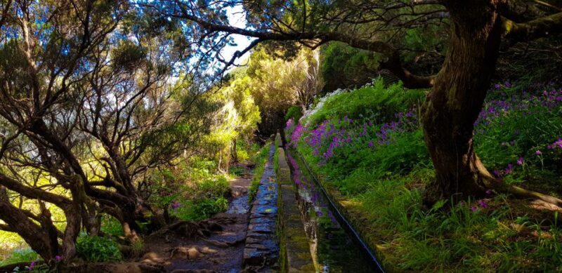 Small Group Walks Rabaçal 25 Fontes - The Sum Up