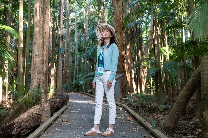 Small Group Waterfall Wetlands+ Skyrail All Inclusive from Cairns - A Day of Natural Wonders and Cultural Insights